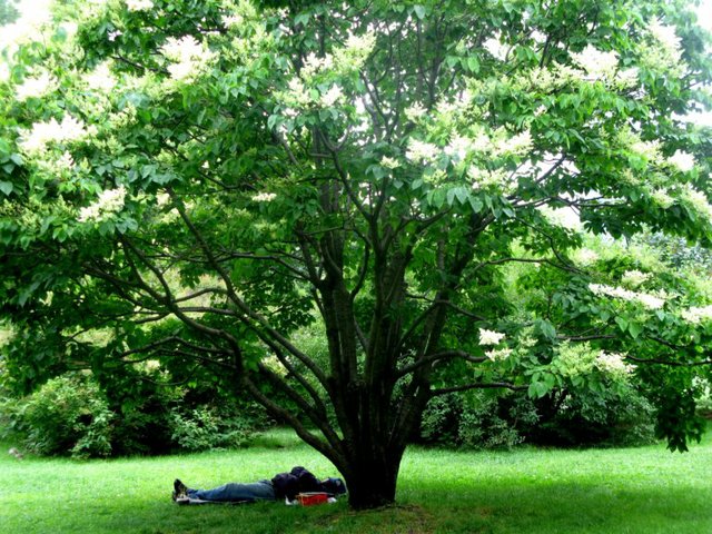 Stop Throwing Shade–Start Making It | david j burke